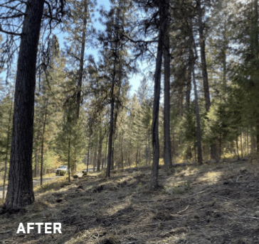 Before Wildfire Strikes: A guide to improving wildfire preparedness and ...