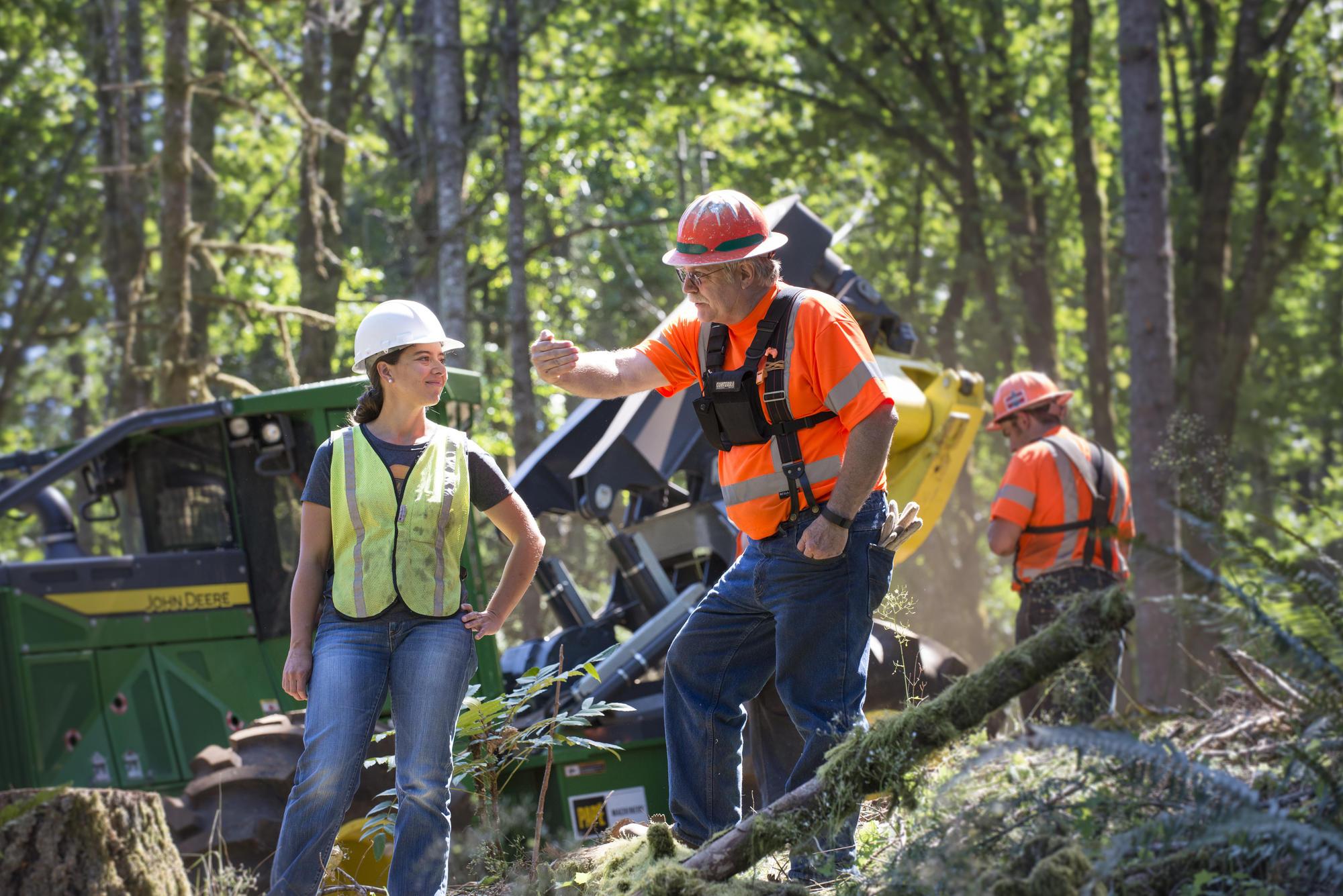Timber harvesting: A process of many decisions | OSU Extension Service