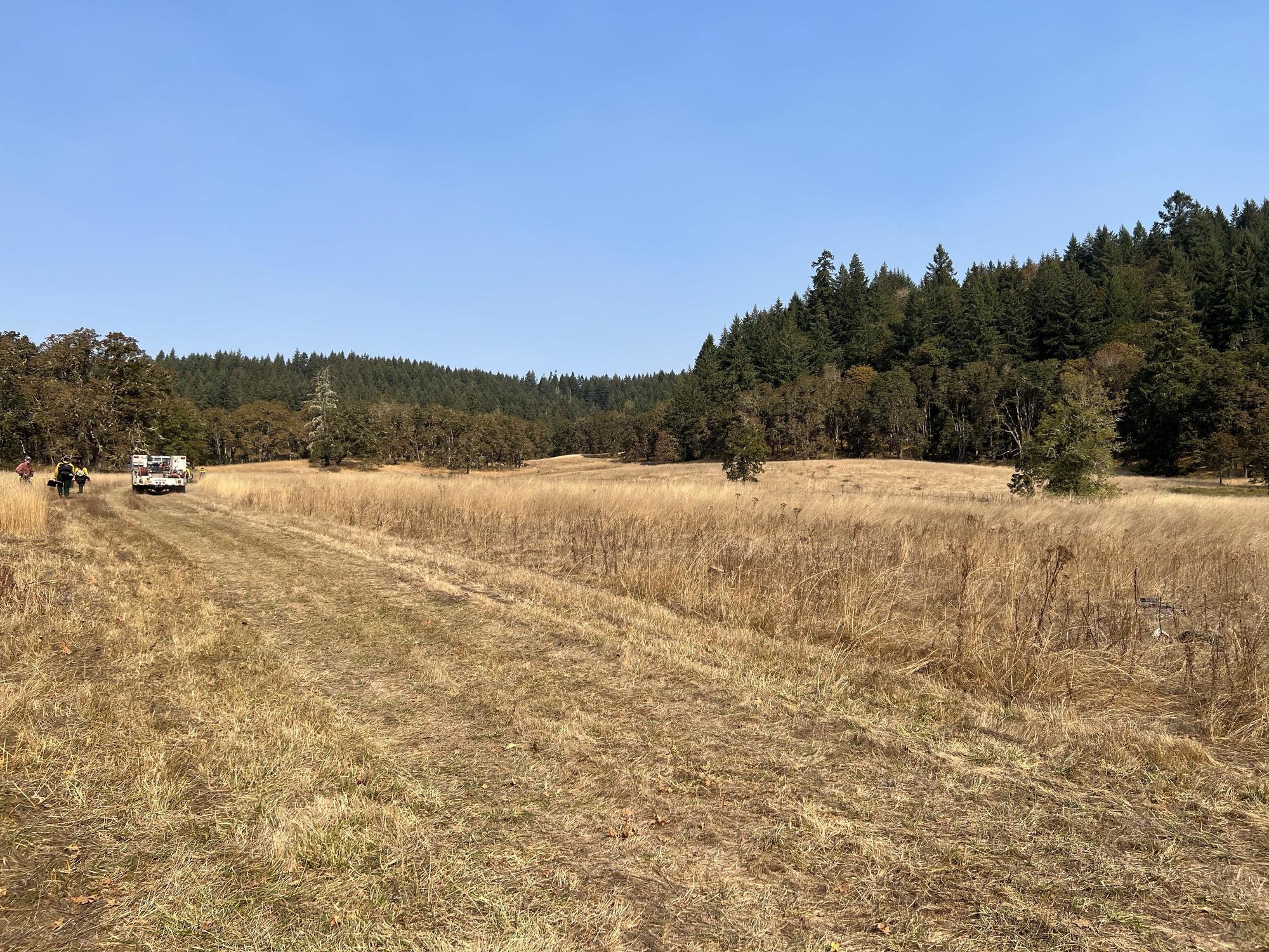 Prescribed Fire Basics: Fuels | OSU Extension Service