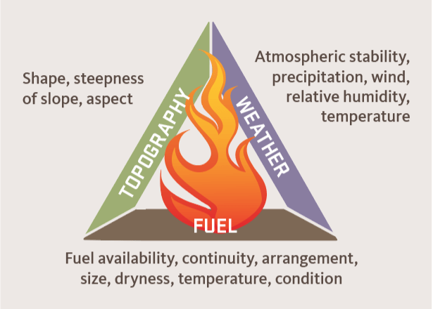 Prescribed Fire Basics: Fuels | OSU Extension Service