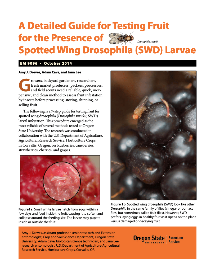 A Detailed Guide for Testing Fruit for the Presence of Spotted Wing ...