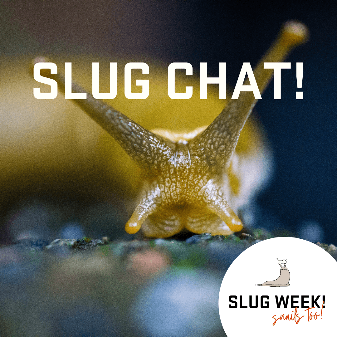Slug chat with OSU slug expert Rory McDonnell | OSU Extension Service