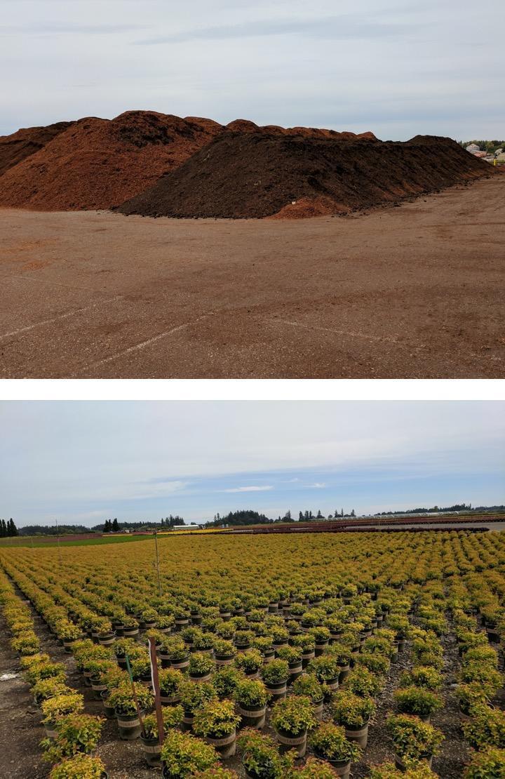 Interpreting compost analyses | OSU Extension Service